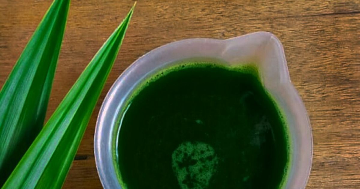 Resep daun pandan suji rumahan enak dan mudah - Cookpad