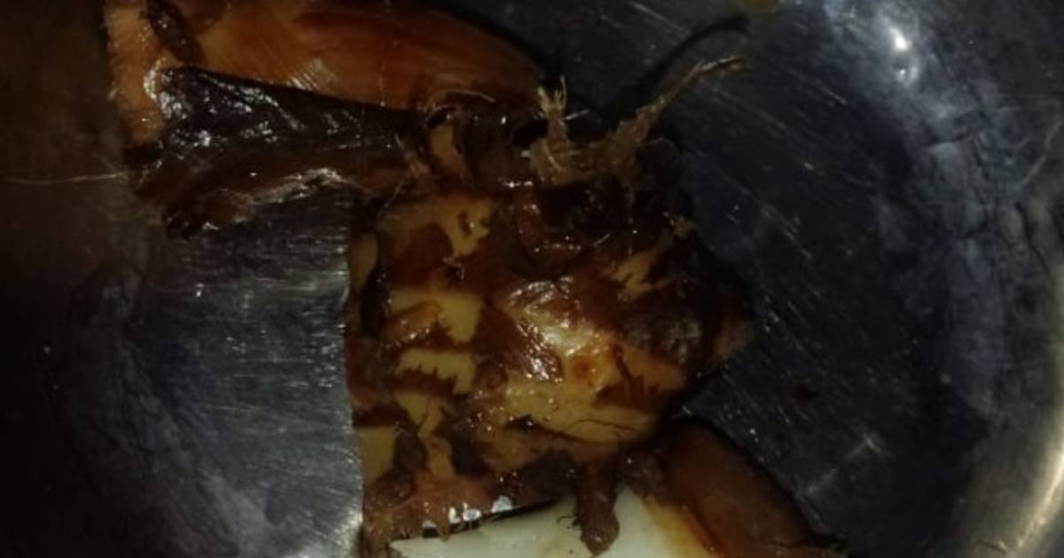 46 resep olahan ganyong enak dan mudah - Cookpad