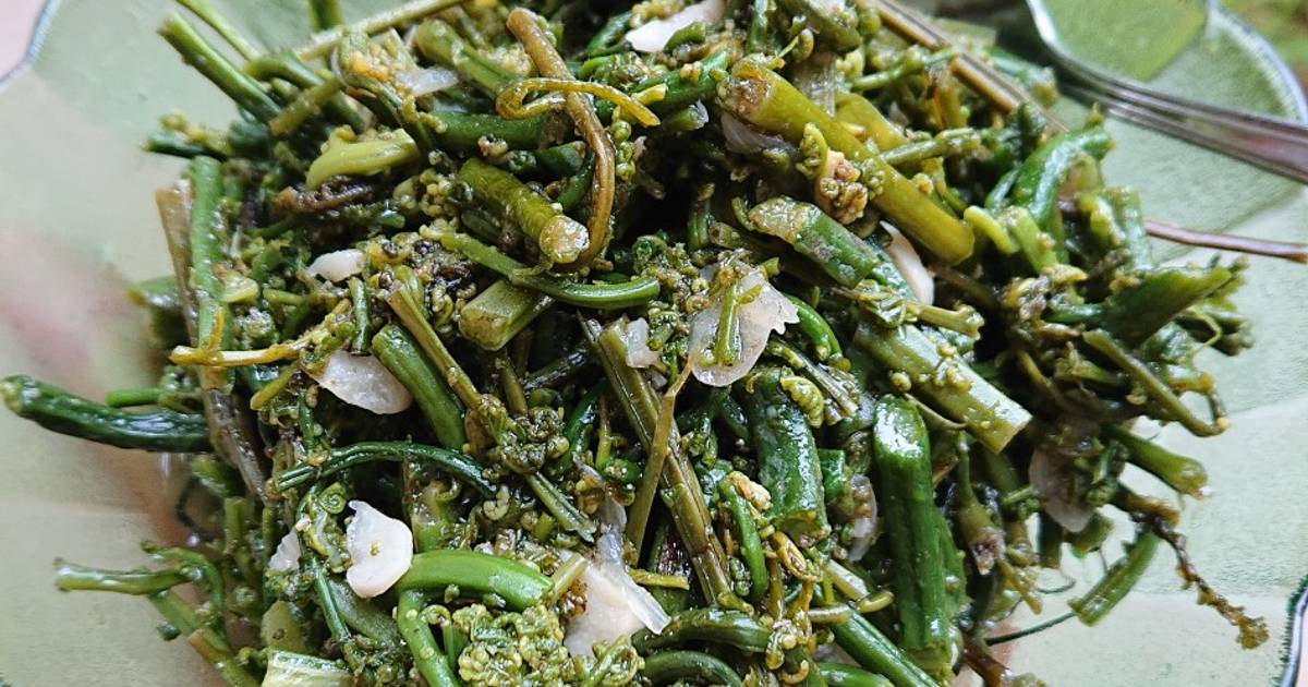 Resep Tumis sayur pakis oleh Geby Sabrina Ekawati Dimjati - Cookpad
