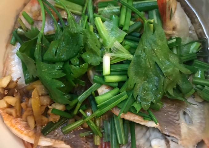 Resep Tim ikan nila oleh Harti Kurniawan - Cookpad