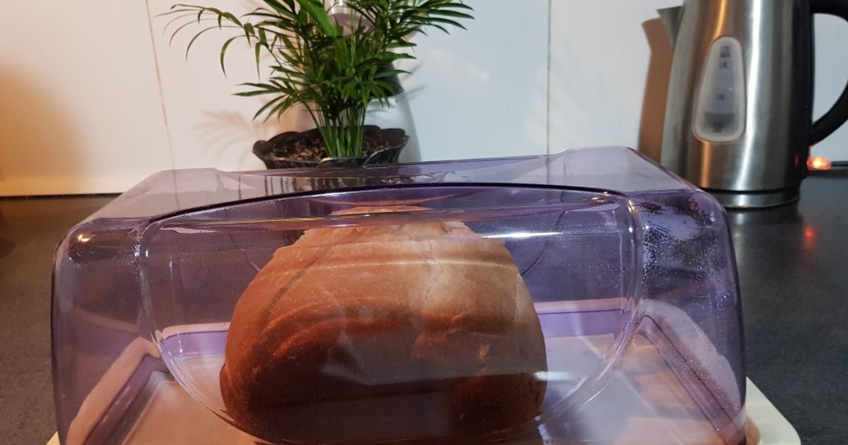 Pan Económico En Panetera Punktal Receta de Karen Zubiaurre- Cookpad
