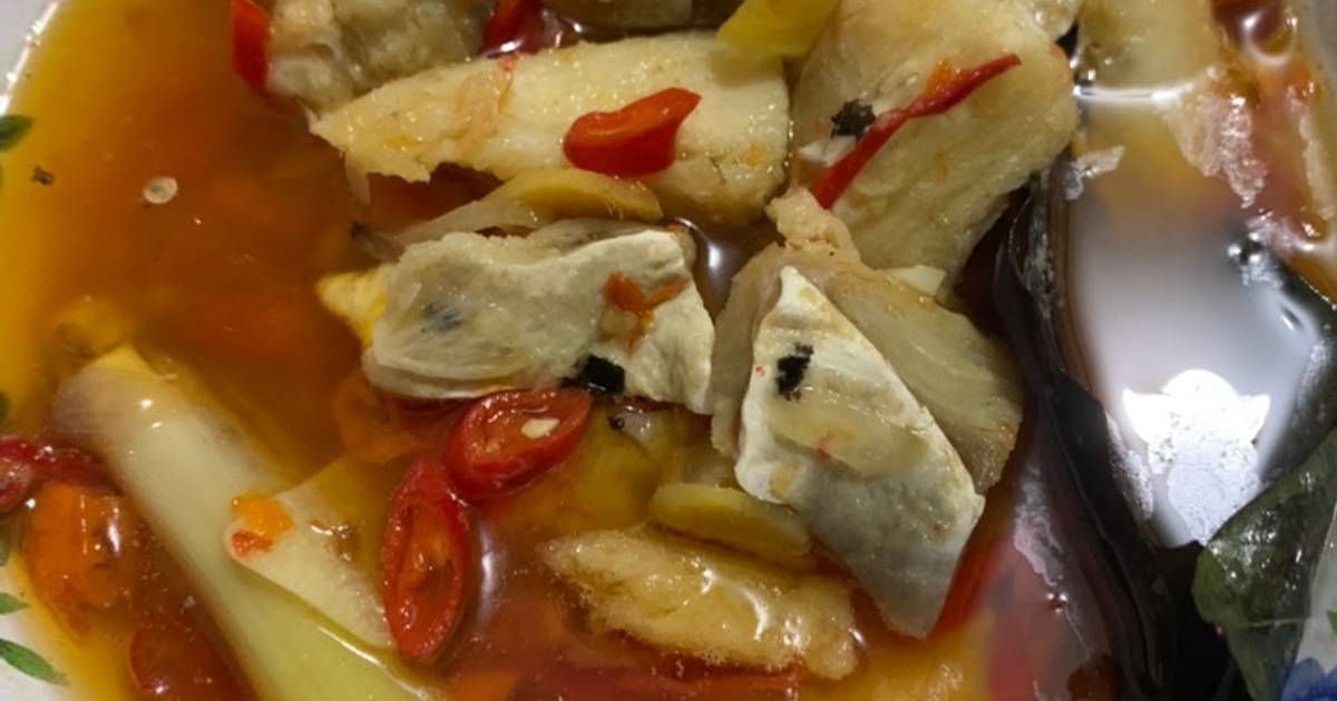 Resep Tim Ikan Cucut oleh shinshinahp - Cookpad