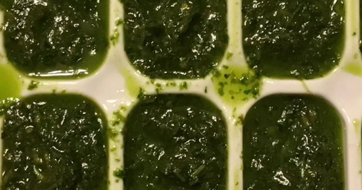 California Farm Coriander Puree Cubes Recipe By Hobby Horseman