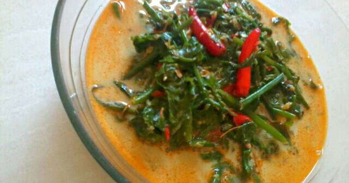 93 resep sayur pakis biasa enak dan mudah - Cookpad