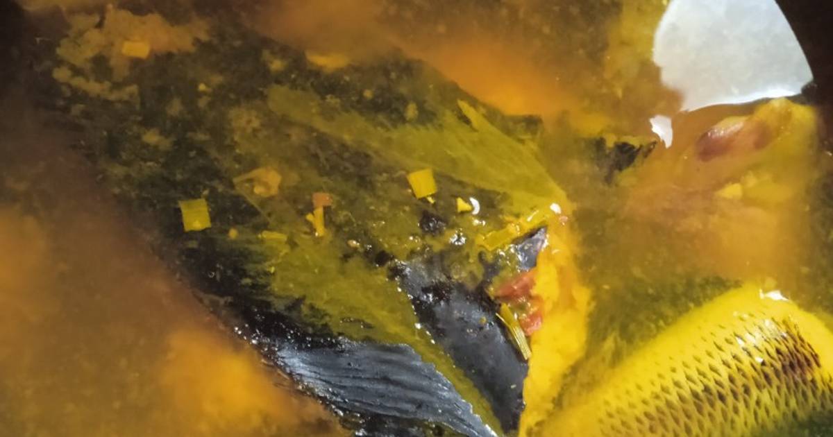 Resep Gangan Ikan Darat oleh sunshineA - Cookpad