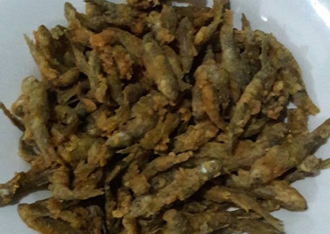Resep Ikan wader crispy oleh Bunda Sasi - Cookpad Resep Ikan wader crispy oleh Bunda Sasi - Cookpad