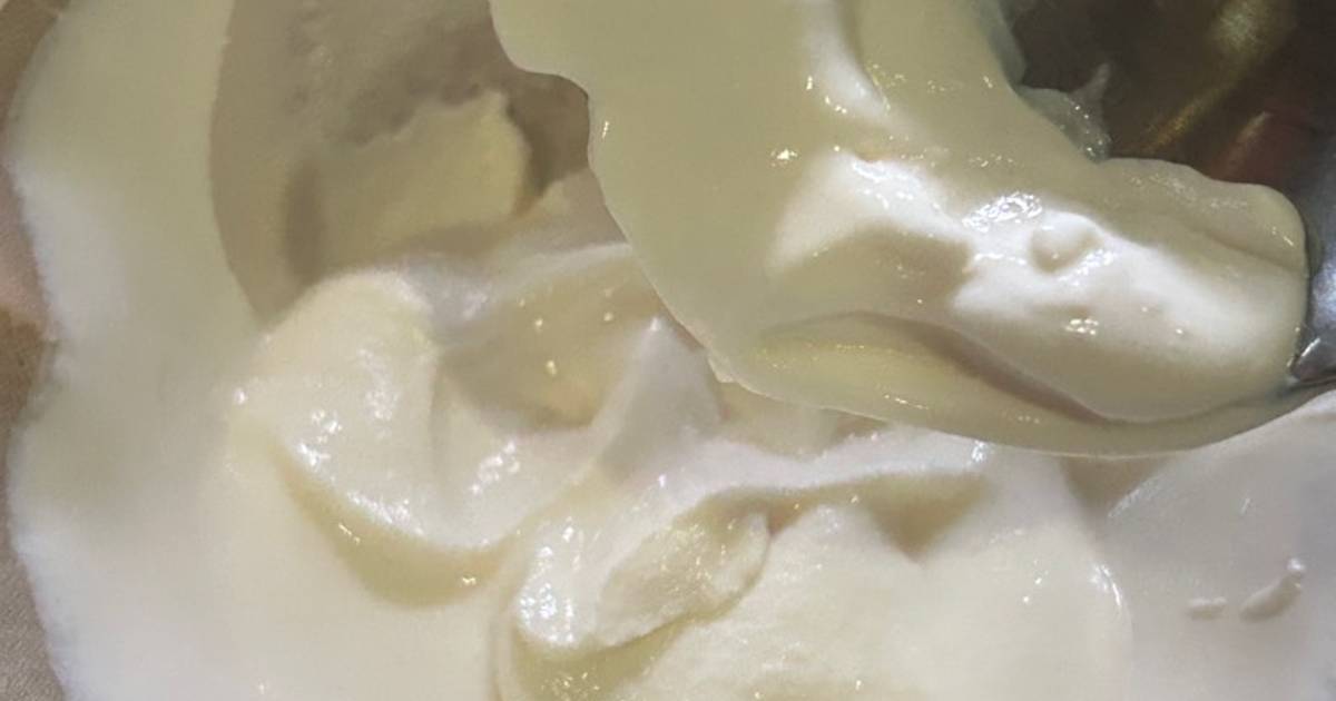 164 resep yogurt homemade rice cooker enak dan mudah - Cookpad
