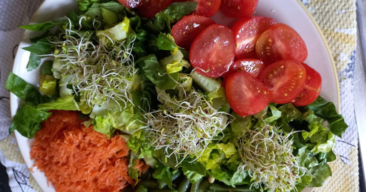 Sorprendentes recetas con alfalfa: deliciosas y saludables