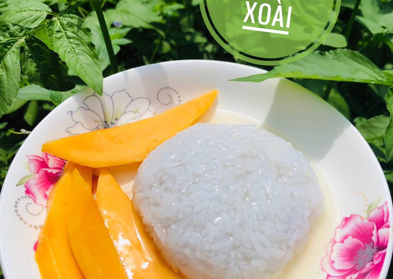 Cách Làm Món Xôi xoài thái lan của Ngọc Huyền - Cookpad