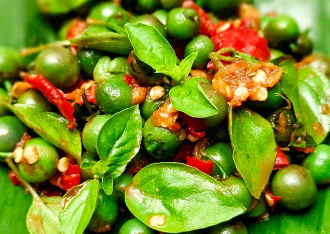 Resep Karedok Leunca oleh fransiska arie - Cookpad