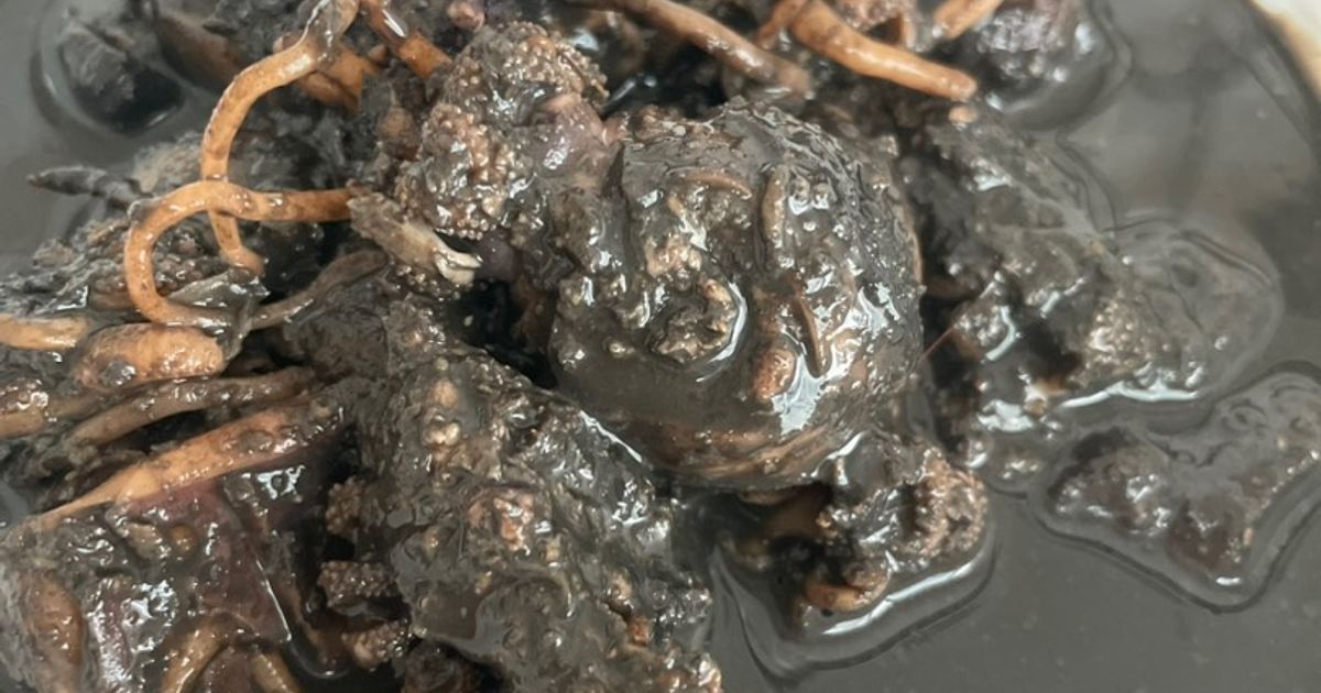 Resep Cumi Item Asem Manis (Kids Friendly) oleh Pawonkembar - Cookpad