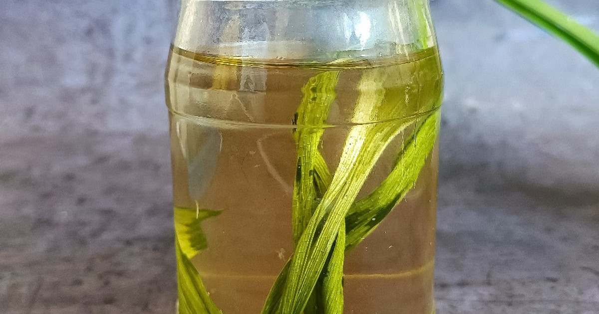 Resep Air Gula/Simple Syrup oleh Rika Meila Puspita - Cookpad