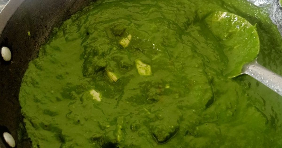Palak Paneer Recipe By Ashika Somani