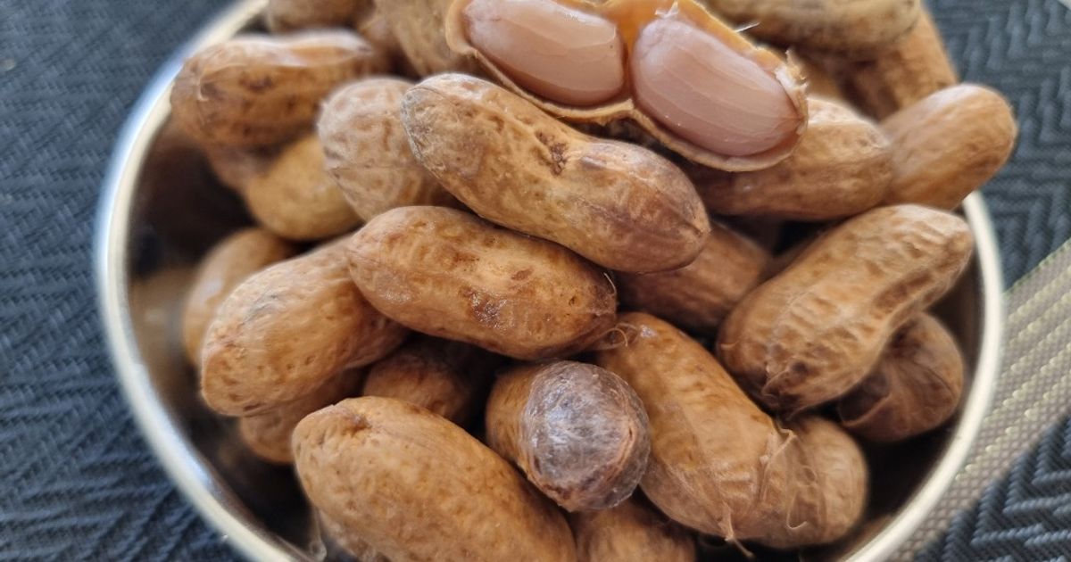 Boiled Ground Nuts Recipe by Priyangi Pujara - Cookpad