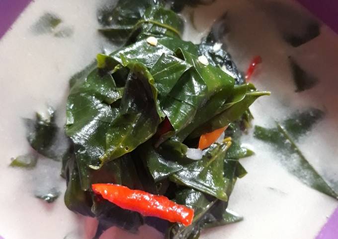 Resep Pucuk Seminyak Santan 🥥 oleh Beranda Aqlan - Cookpad