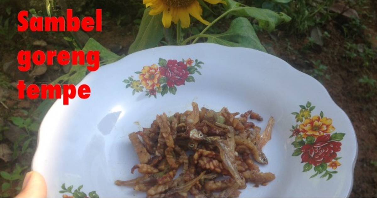 Resep Sambel goreng tempe teri kecap oleh Anna Zln - Cookpad