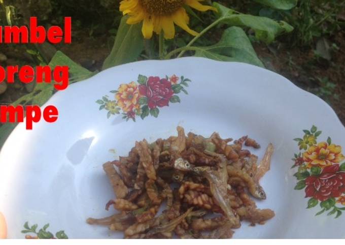 Resep Sambel goreng tempe teri kecap oleh Anna Zln - Cookpad