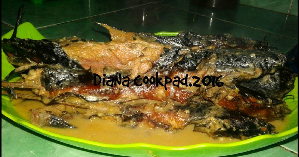 Resep Lele asap kuah santan oleh Diana Putri - Cookpad
