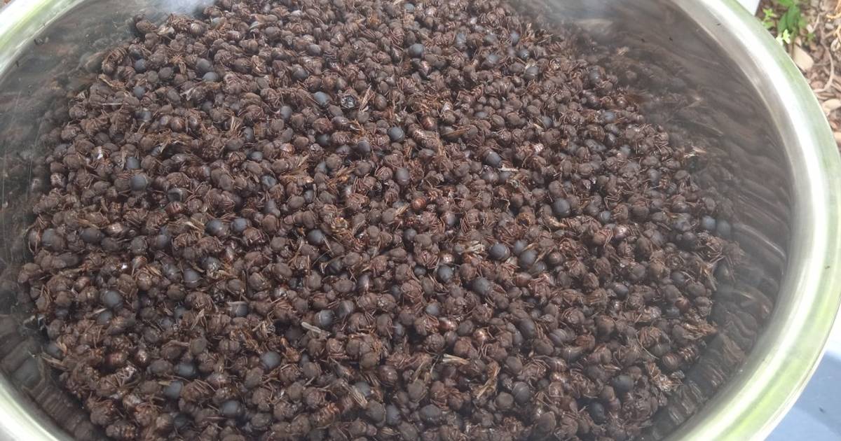 5 recetas muy ricas de chicatana compartidas por cocineros caseros- Cookpad