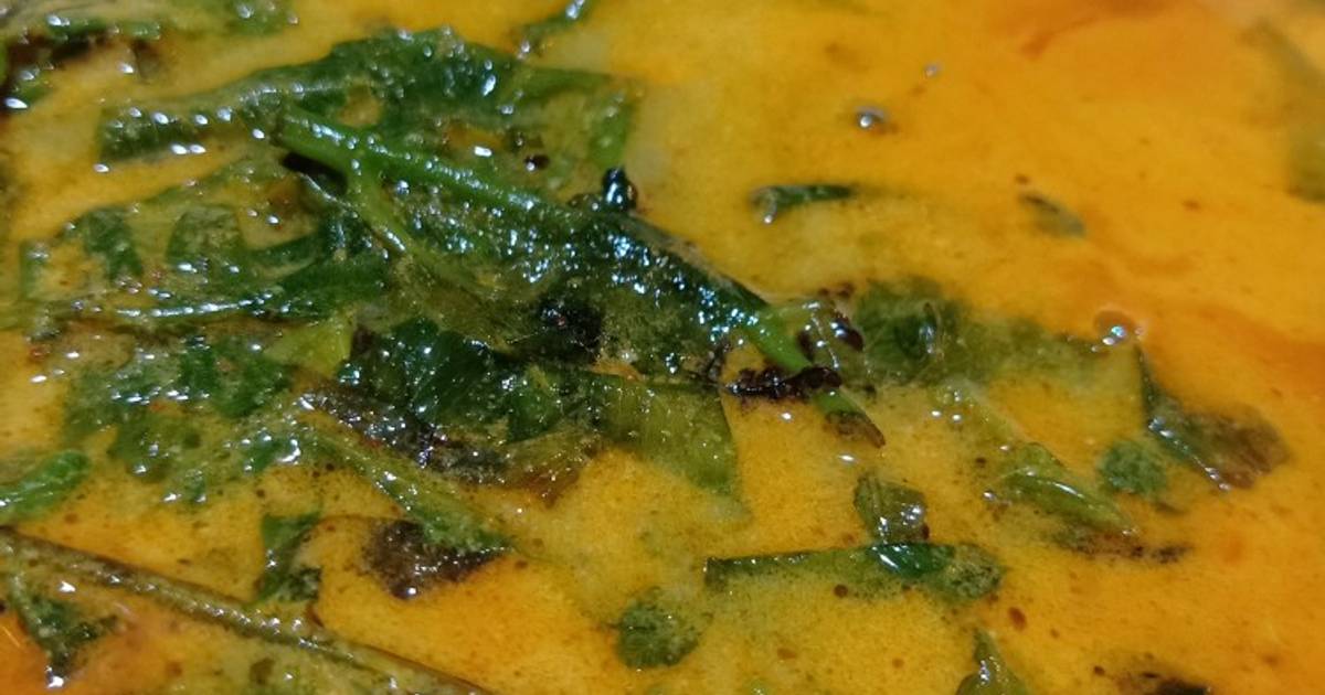 Resep Gulai pakis istimewa oleh almira fauzia - Cookpad