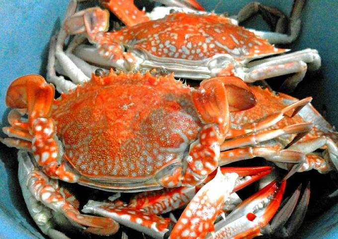 Resep Kepiting rebus oleh Via Gusvianita - Cookpad