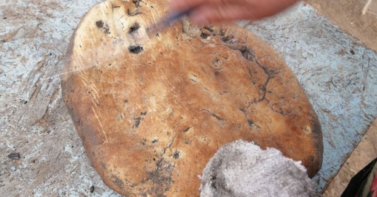 Tortilla De Rescoldo Recipe by Jorge - Cookpad