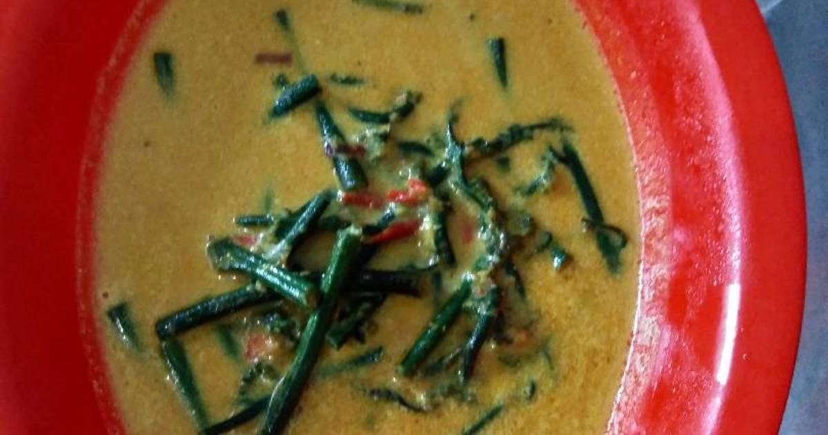 93 resep sayur pakis biasa enak dan mudah - Cookpad