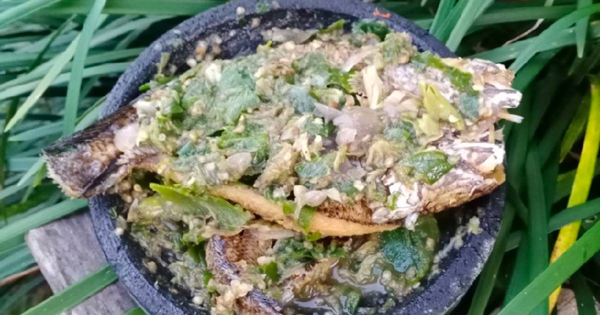 346 resep ikan gabus cabe hijau enak dan mudah - Cookpad