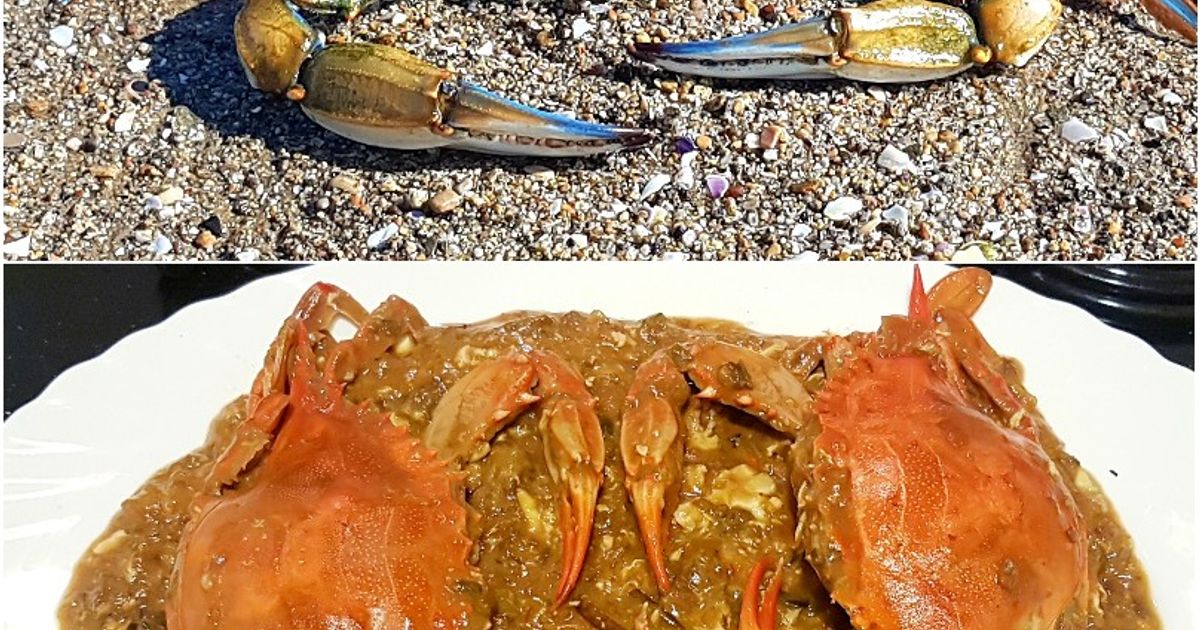 Descubre recetas únicas de jaibas que te encantarán