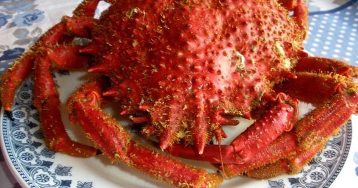 Centollo - 86 recetas caseras- Cookpad