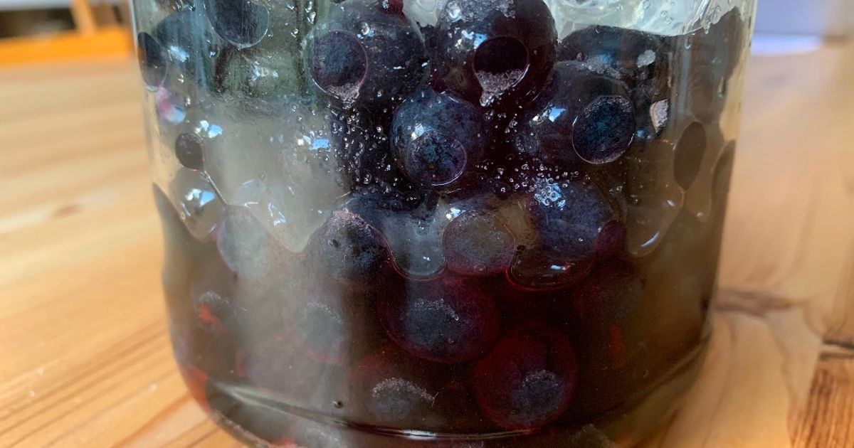 Sloe Boshi (A Sacreligious Seasonal Version Of Umeboshi) Recipe by Rob ...