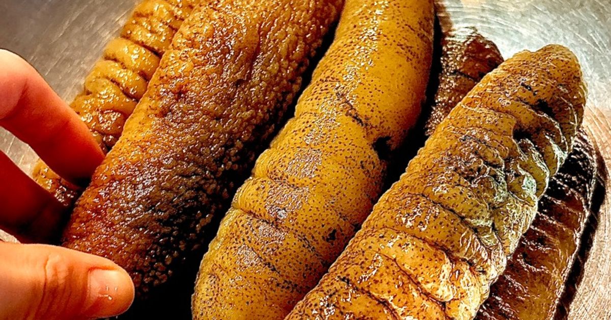 61 resep teripang enak dan mudah - Cookpad