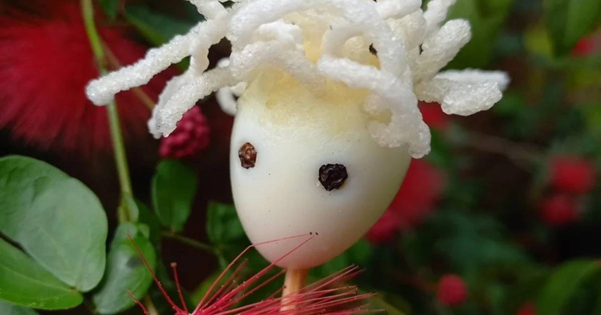 Resep Telur Rambut Kriwil (Telur Rambut Bihun) oleh Binti Sae - Cookpad