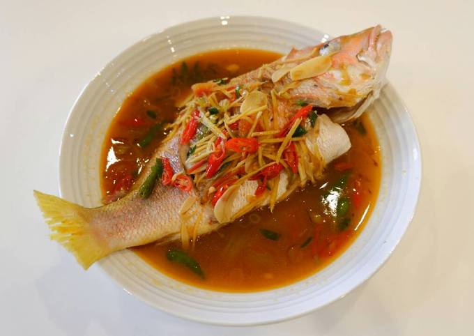 Resep Steam ikan kakap jahe oleh novishu - Cookpad