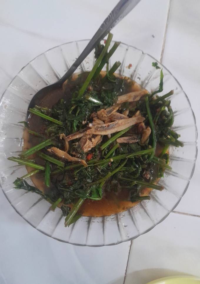 Resep Oseng pakis / sayur paku teri oleh Mizz_Y3llo - Cookpad