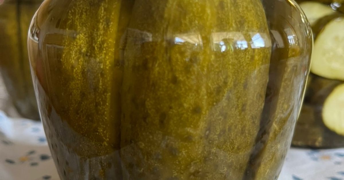 Pickled Cucumbers / Gherkins Recipe by Simi and Milo - Cookpad
