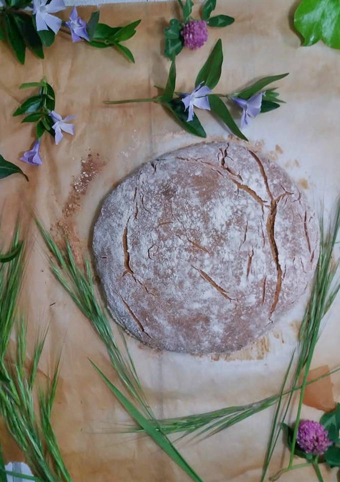 Pão Caseiro Broa de Milho Receita por Elsa Nunes - Flor de Rosmaninho ...