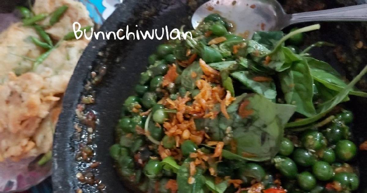 96 resep karedok leunca enak dan sederhana - Cookpad