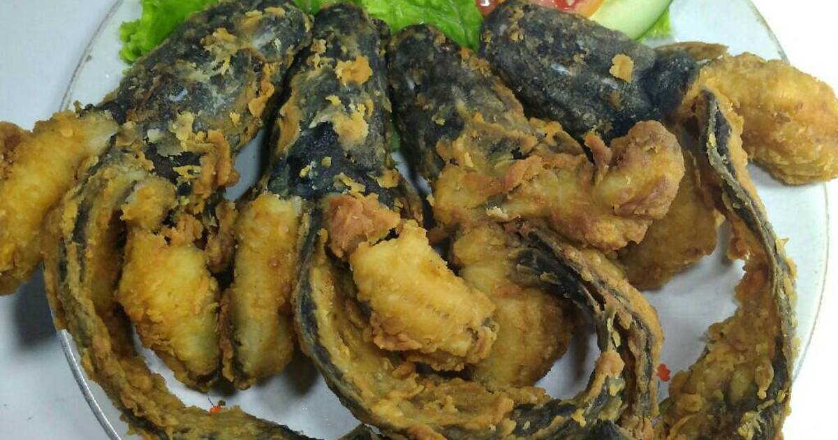 432 resep lele crispy enak dan mudah - Cookpad