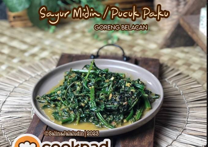 Resipi Sayur Midin / Pucuk Paku Goreng Belacan oleh Salina Jalaludin ...
