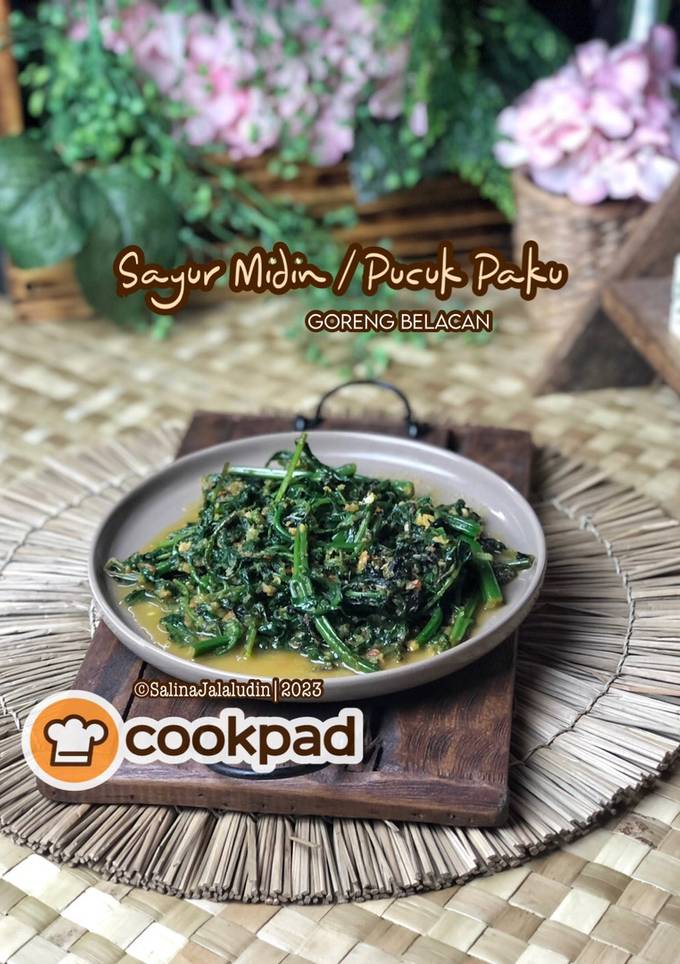 Resipi Sayur Midin / Pucuk Paku Goreng Belacan oleh Salina Jalaludin ...
