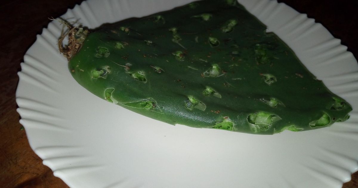 Cooking With The Nopal Cactus Recipe by Pure - Cookpad