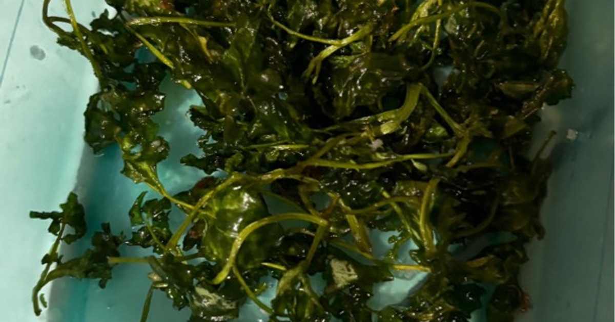 Resep jukut goreng lezat dan renyah