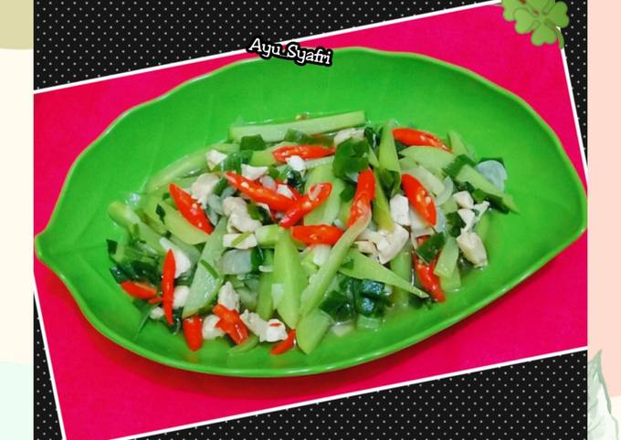 Resep Tumis Labu Siam Dada Ayam oleh Ayu_Syafri - Cookpad
