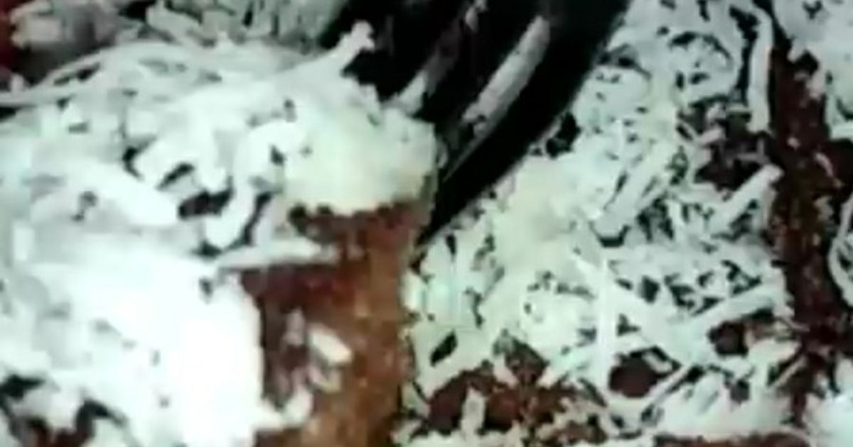 Resep Brownis Kukus Chocolatos oleh ovit.m.s - Cookpad