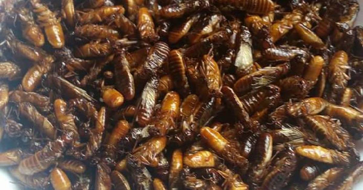 Roasted termites Recipe by Morine Achieng - Cookpad