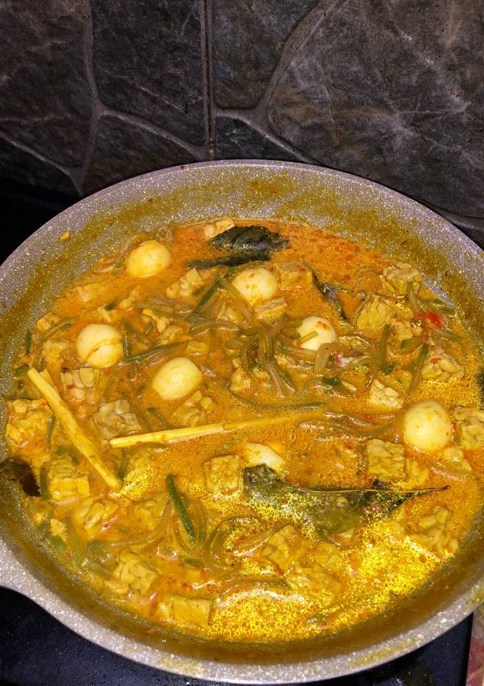Resep Lodeh Telur Puyuh, Tempe & Labu Siam 🥘 oleh Ayunda Adi Pratiwi ...