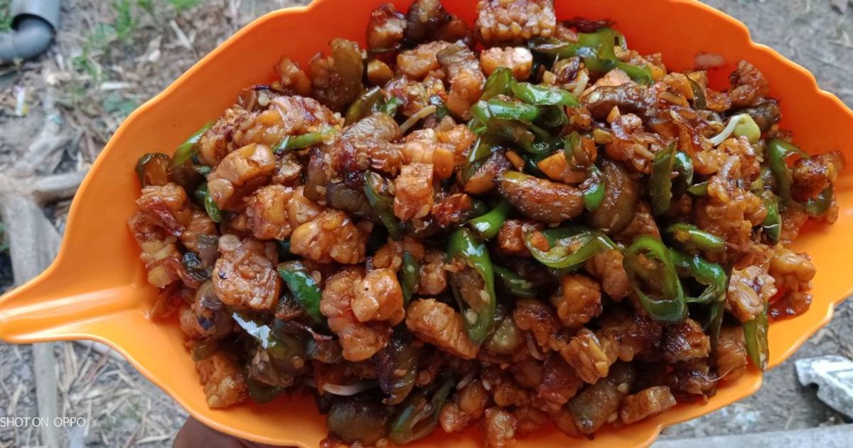 Resep Oseng tempe&terong lombok ijo oleh Elisa Ara - Cookpad