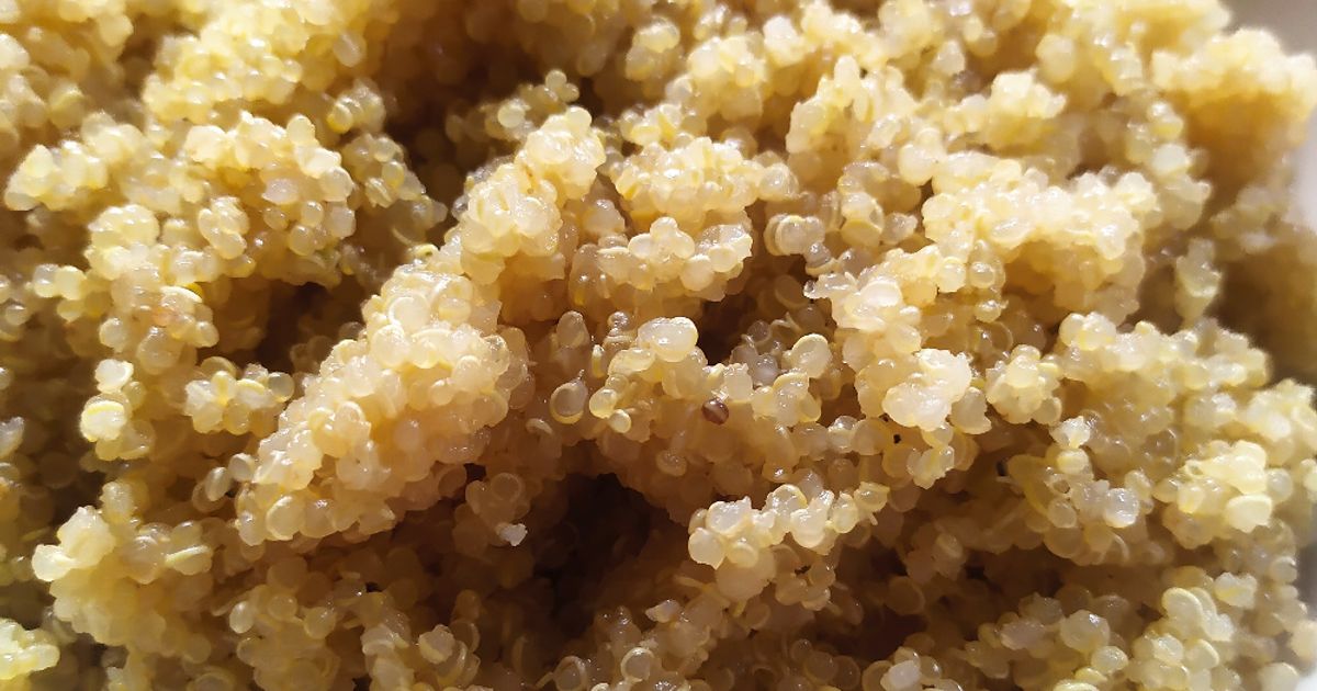 Quinoa Cozida Simples Receita por Wayna Wagner - Cookpad