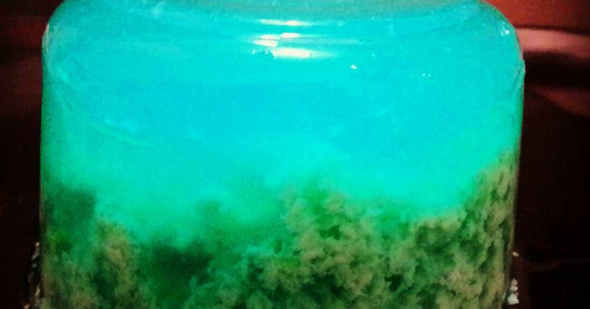 Resep Puding Lumut Bawah Laut oleh Ditta Ayu - Cookpad